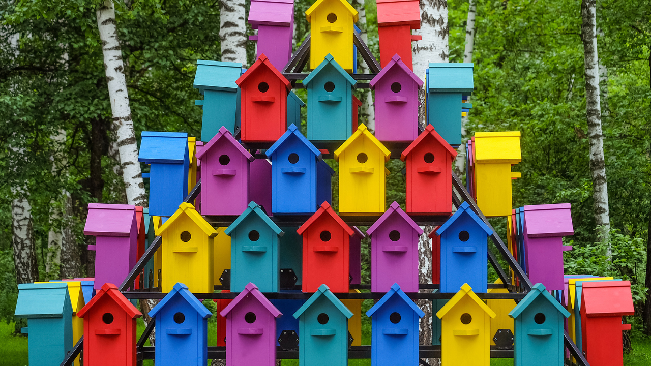 Building a Birdhouse • Happy Bunnies Child Care School