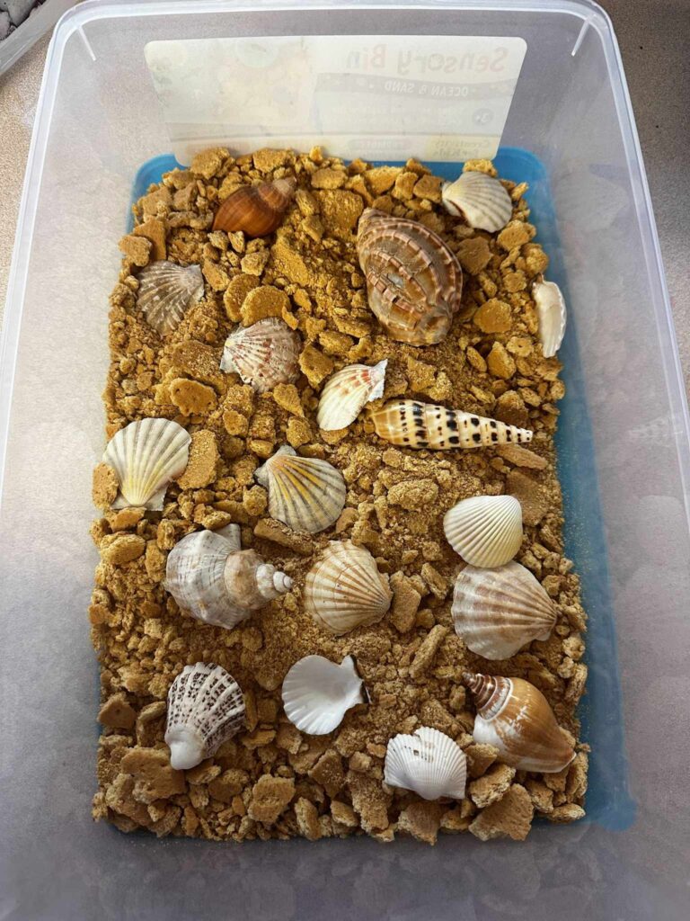 Seashell Sensory Bin • Happy Bunnies Child Care School